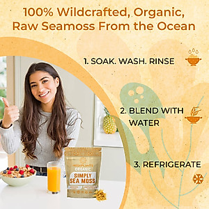 MEGAPLANTS Organic Sea Moss | Makes 228 Servings of Seamoss Gel | Pre-Washed | Wildcrafted | Immune Booster | Strengthen Hair, Skin, Nails & Joints
