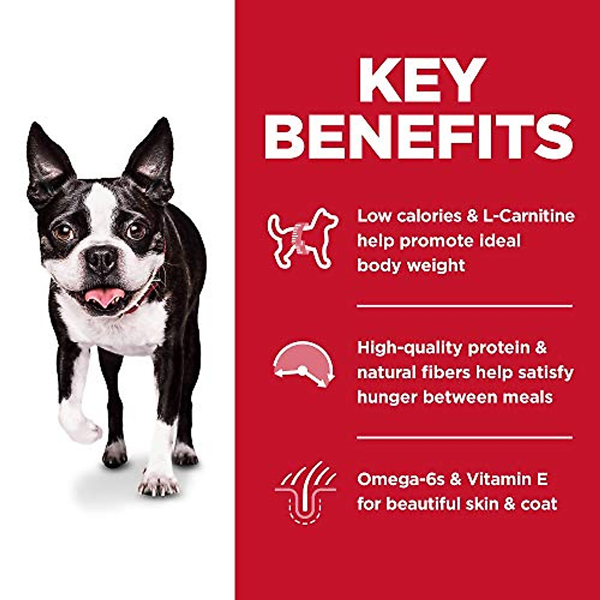 Hill's Science Diet Dry Dog Food, Adult, Light for Healthy Weight & Weight Management, Small Bites, Chicken Meal & Barley Recipe, 5 lb. Bag