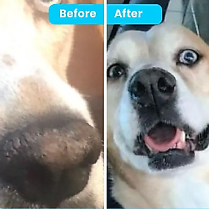 Pawtitas Nose Balm for Dogs for Moisturizers Dry, Chapped, Cracked, and Crusty Dog Noses Providing a Layer of Protection on Your Dog Snout Manufactured with Certified Organic Ingredients 0.15 OZ