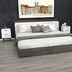 TaoHFE Modern White Nightstand Set 2 with Drawer Mid Century 22 Inch Bed Side Table Bedroom White Night Stand Set of 2 Bedside Table Set 2 White 2 Drawer Nightstand Table for Bed Room(2, White)