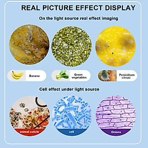 Woehrsh Microscope for Adults WF10x and WF25x eyepieces, 40X-2000X Magnification USB Camera, Microscope for Adults Suitable for Laboratory School Home Education.