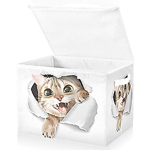 RunningBear Cartoon Cute Cat Large Storage Bins with Lid Collapsible Storage Bin Shelves Basket Clothes Toys Bin for Home Toys Clothes