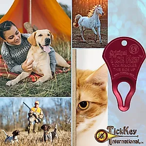 The Original Tick Key -Tick Detaching Device - Portable, Safe and Highly Effective Tick Detaching Tool (Rainbow 7 Pack)