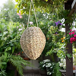 Evergreen Garden Wasp Nest Decoy | 10 inches Wasp Deterrent Outdoor Hanging | Fake Wasp Nests for Home, Patio, Garden | Made of Woven Reed and Rope