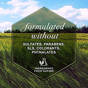 Burt's Bees for Dogs Refreshing Spray with Natural Grapefruit Fragrance Natural Dog Deodorizing Spray, pH Balanced for Dogs, Sulfate & Paraben Free, Made in The USA, 8 oz