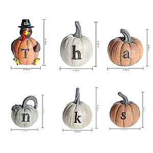 MorTime Thanksgiving Decorations Hand-Painted Turkey Pumpkin with Engraved Thanks, Set of 6 Tabletop Fall Autumn Decor for Living Room Bedroom Kitchen Thanksgiving Harvest Day