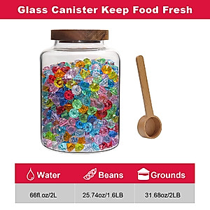 Glass Coffee Storage Jar with Lids Scoop Thicken Glass Coffee Canister Borosilicate Glass Food Containers for Ground Coffee Beans Nut Pasta Sugar Candy Spice Rice Loose Tea