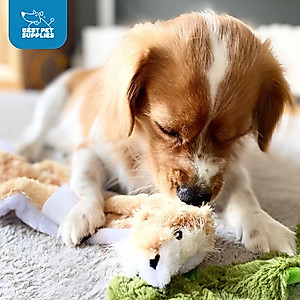 2-in-1 Fun Skin Stuffless Dog Squeaky Toy by Best Pet Supplies - Pig, Large