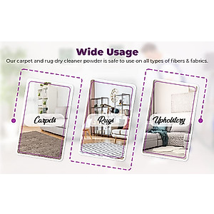 Capture Pre-Mist Soil Release for Carpet Dry Cleaner - Carpet Cleaning Pre Spray - Loosen Juice, Coffee & Wine Spill and Tough Rug Stains Eliminator - Multi-Purpose Cleaning Essentials - 24oz (2 Pack)