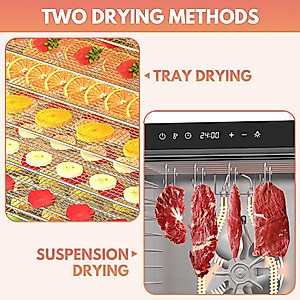 BriSunshine Commercial Dehydrator, 20-Layer Food Dehydrator with LED Light, 1600W, 24H Timer, Large Food Dryer Dehydrated for Homemade Jerky, Fruits, Dog Treats, Vegetables, Herbs, and Snacks
