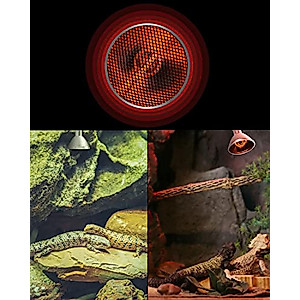 C-Raptile Deep Heat Projector 100W Infrared Reptile Heat Lamp Bulbs Reptile Light