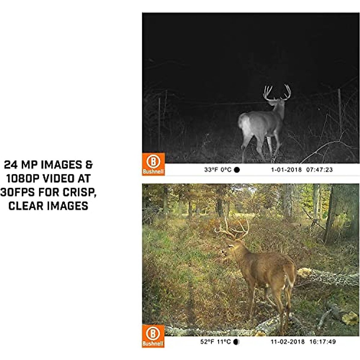 Bushnell 24MP CORE Trail Camera, Single Sensor, no glow_119938C