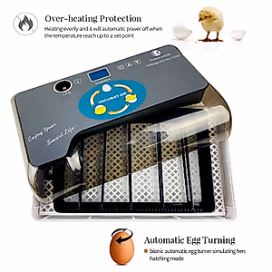 SSZYace 12-35 Egg Incubator, Incubators for Hatching Eggs with Automatic Turner, Egg Candler and Temperature Display, for Chicks, Quails, Ducks, Small Poultry