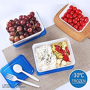 Food Storage Containers with Lids(45.6 Ounce,10 Pack) - Plastic Containers with Lids Storage, Rectangular Meal Prep Plastic Containers Freezer Containers,Kitchen Food Deli Containers