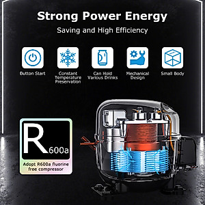 Xbeauty Beverage Refrigerator with 48 Can Mini Fridge for Office, Bar,Home,with Adjustable Removable Shelves,Convertible Door,Double Glass,1.3Cu. Ft