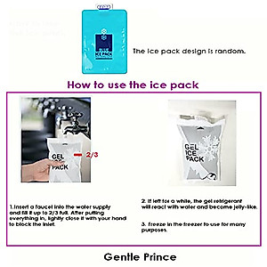 Insulated Easy Zip Lock Resealable Aluminum Sandwich Bag - Reusable Thermal Lunch Snack Bento Picnic Hot & Cold Pouch (5pcs, Small - 9.8 x 13.5 Inch)