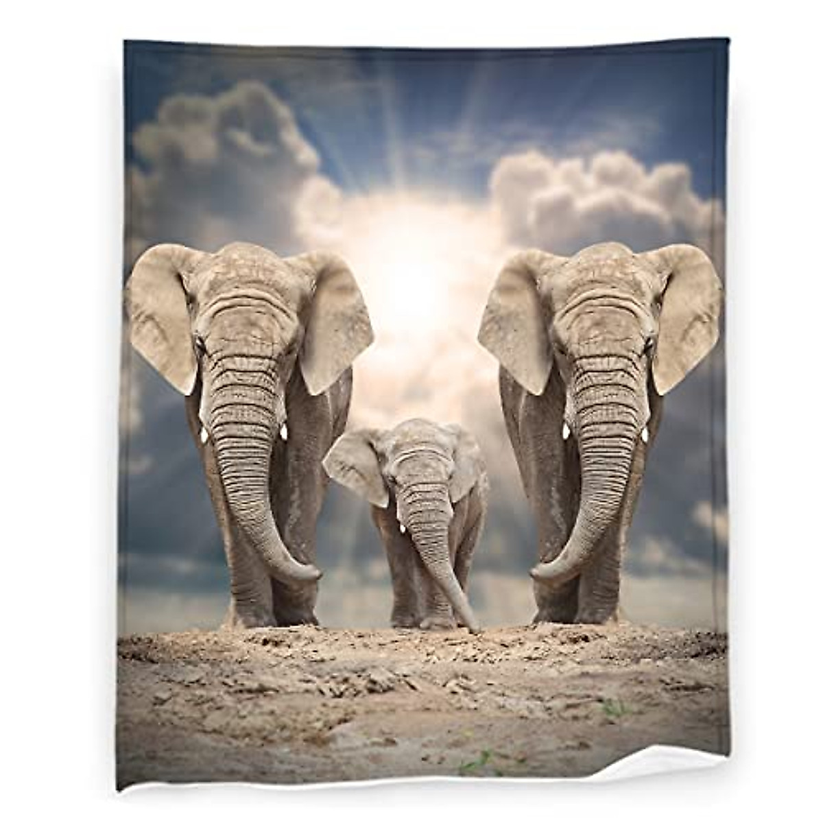 Elephant Blanket 40" x 50" African Wild Animal Family Exotic Super Soft Bedding Fleece Throw Blanket Luxury Bed Blanket Bedroom Living Room Warm Lightweight for Kids Adults