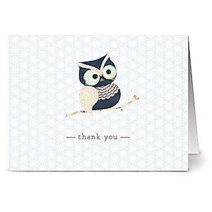 Note Card Cafe Thank You Cards with Kraft Envelopes | 24 Pack | Woodland Owl | Blank Inside, Glossy Finish | for Greeting Cards, Occasions, Birthdays, Gifts