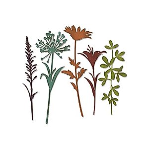 Sizzix Thinlits Die Set , Wildflower Stems #2 by Tim Holtz, 5 Pack, One Size, Multicolor 5 Piece