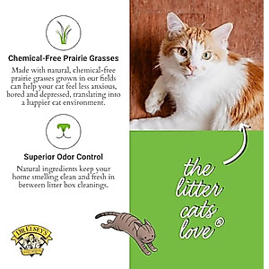 Dr. Elsey's Precious Cat Touch of Outdoors Litter Bag, 20 lb