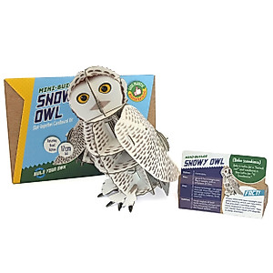 Build Your Own Moving Snowy Owl - Rotating Head Action - Eco Friendly Cardboard Craft Kit - Ages 8+