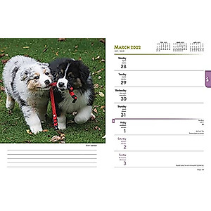 I Love Puppies 2022 6 x 7.75 Inch Spiral-Bound Wire-O Weekly Engagement Planner Calendar | New Full-Color Image Every Week | Animals Dog Breeds Puppy