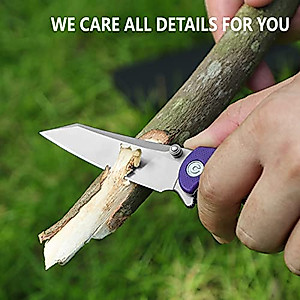 CIVIVI P87 Folder EDC Knife, Kaila Cumings 2.9-in Nitro-V Silver Bead Blasted Blade Reverse Tanto, G10 Handle with A Thumb Stud Liner Lock Folding Pocket Knife for Everyday Carry (Purple)