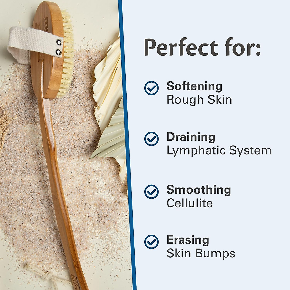 Dry Body Brush | Anti Cellulite Brush | Blood Circulation, Skin Smoothing | Tighten, Tone, Exfoliate & Firm Skin | Use on Scalp, Skin & Muscles