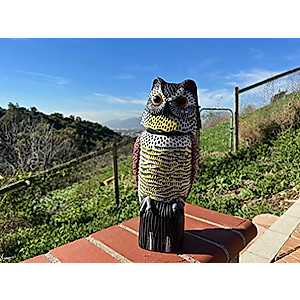 GiftExpress 2 Pk 15.5" Scarecrow Owl Decoy with Rotating Head Statue, Pest Repellent, Bird Control, Bird Deterrent, Garden Protectors, Fake Owls (2)