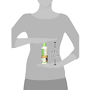 MillCreek Botanical Dandruff Shampoo, 16 Ounce