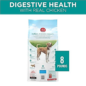 Purina One Plus Digestive Health Formula Dry Dog Food Natural with Added Vitamins, Minerals and Nutrients - (Pack of 4) 8 lb. Bags