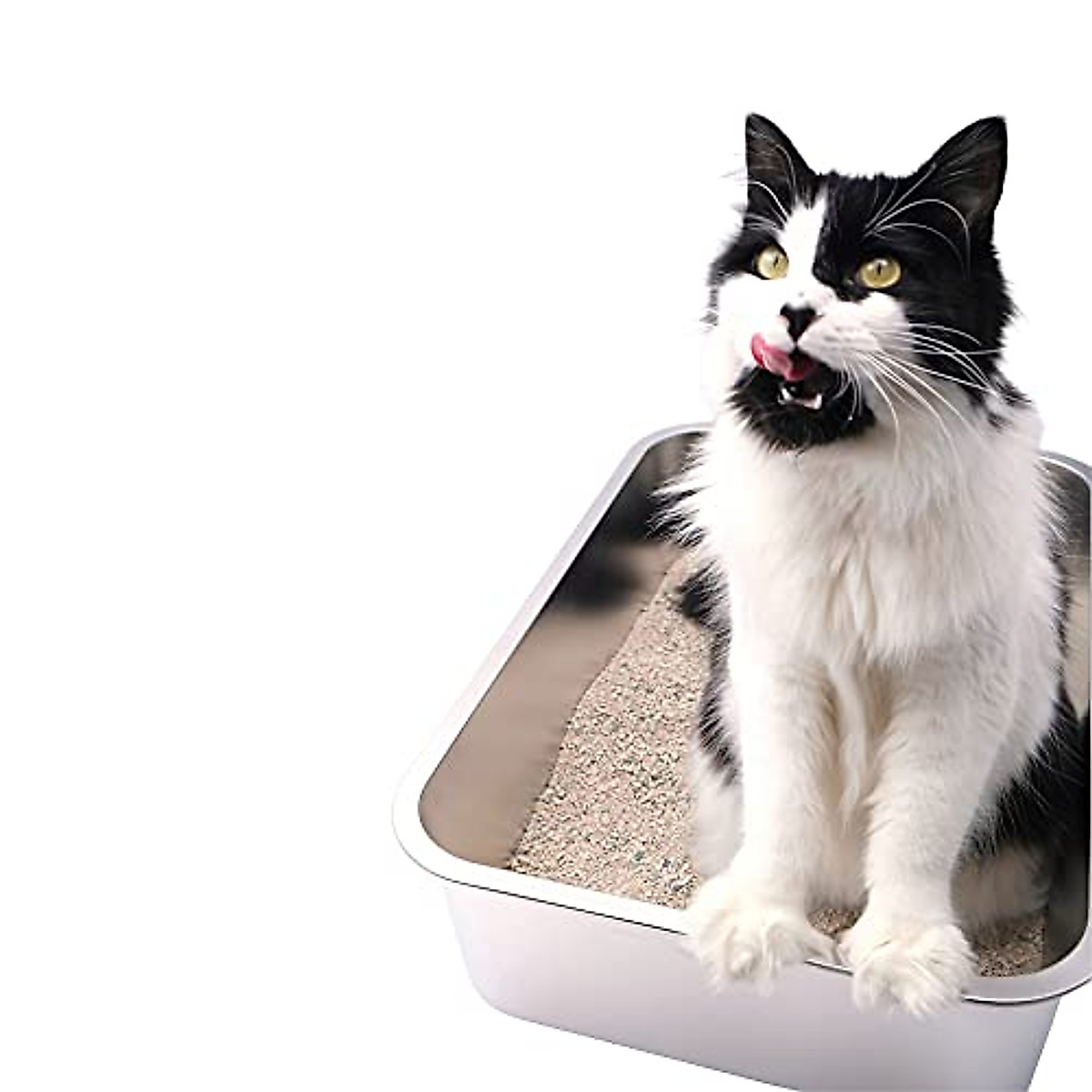 Midlee Stainless Steel Cat Litter Box- XL Size- 23.5" x 15.5" x 5.75"