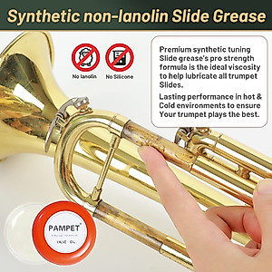 PAMPET Trumpet Care Kit, Professional Trumpet Cleaning Kit Care Your Trumpet with Valve Oil, Brass Polishing Spray, Slide Grease, Brushes