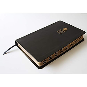 Biblia Reina Valera 1960 letra grande. Símil piel negro, índice, tamaño manual / Spanish Bible RVR 1960. Handy Size, Thumb Index, Large Print, Black Leat