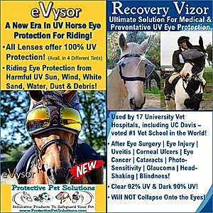 eVysor UV Protection Horse Riding Goggles by eQuick-it - MIrrored Blue Lenses