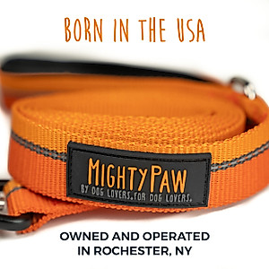 Mighty Paw Dog Leash - Soft Padded Handle - D-Ring and Pet Leash Clip - Carabiner Clip - Weatherproof with Reflective Stitching - 6 Foot Long Dog Leash for All Dog Breeds - Dog Walking Leash (Orange)