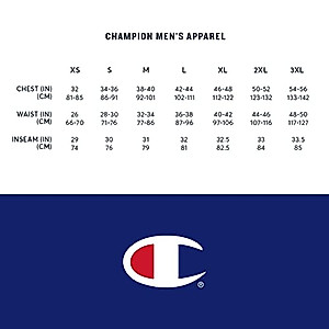 Champion mens Classic T-shirt, Classic Script T Shirt, Black-y06794, XX-Large US