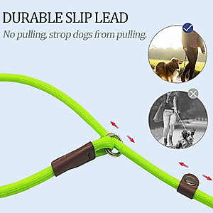MayPaw Slip Lead Control Leash for Dogs No Pull, 13+ Colors Classic Dog Leash 7 FT Pet Slip Leash, 1/4” Rope Leash for Small Medium Animals (7ft*1/4", Green)