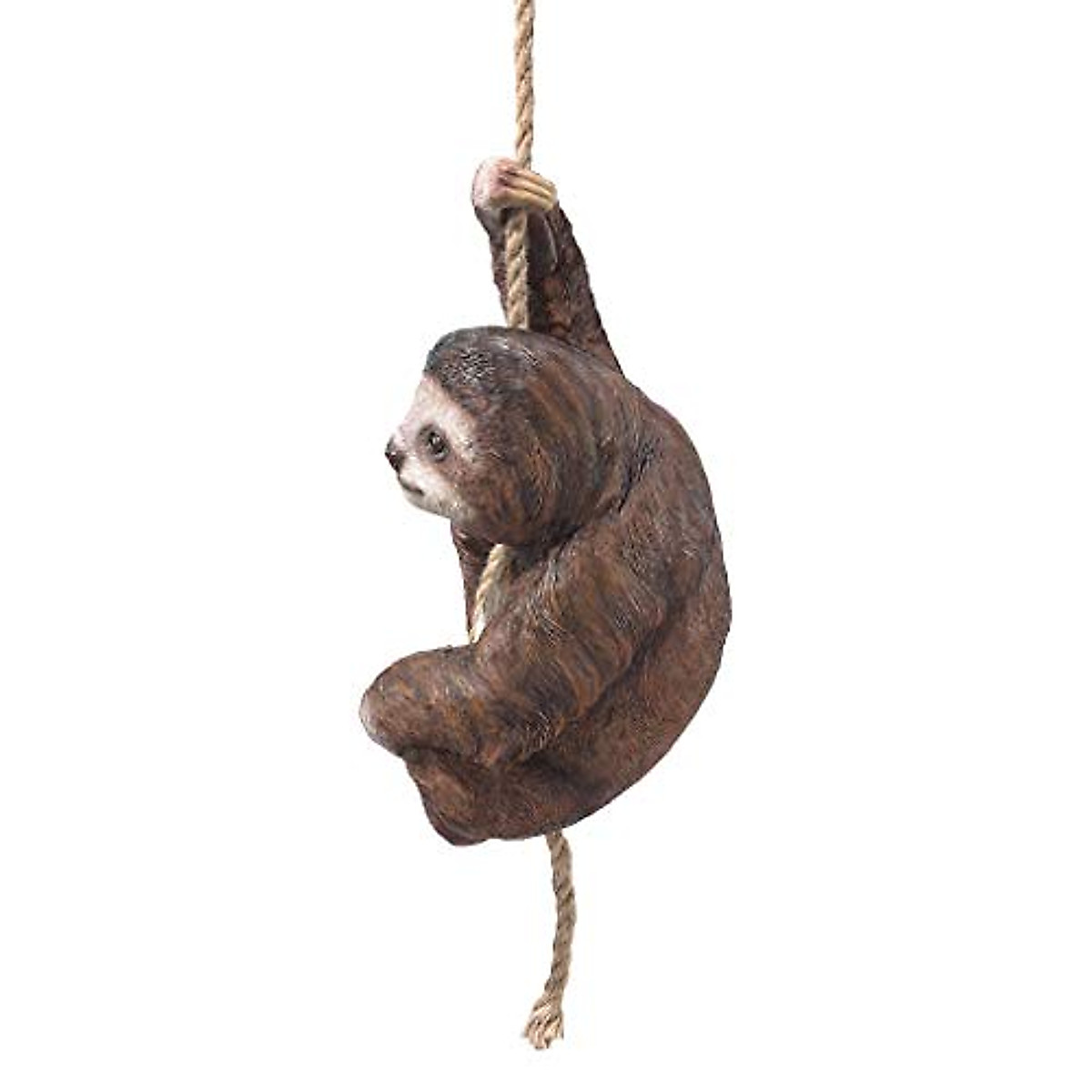 Design Toscano Hanging Horatio The 3-Toed Sloth Statue