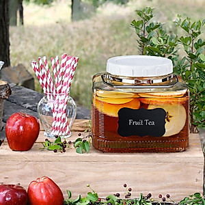 2 Pack 1 Gallon Glass Jar with Lid Square Large Mason Jar with Stainless Steel Handle and Leak Proof Screw Lid for Storing Eggs, Flour, Kombucha, Sugar, Pickle - Extra Gasket, Reusable Labels and Pen