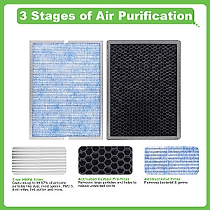 Hichoryer【Upgraded】MSA3 Air Purifier Replacement Filter,Compatible with Membrane Solutions Air Purifier MSA3 & MSA3S, 3-in-1 H13 True HEPA Filter with Odaller Pure Technology, 2 Pack