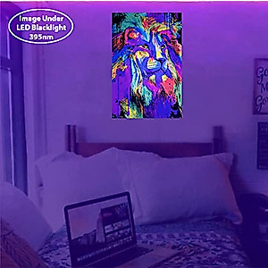 Rainbow King by Aimee Stewart - Non-Flocked Blacklight Poster 24" x 36"