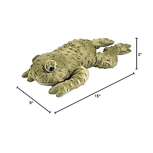 Sonoma Lavender Microwaveable Aromatherapy Pillow, Plush Freddy The Eucalyptus Tree Frog, Eucalyptus Scented with Removable Washable Cover