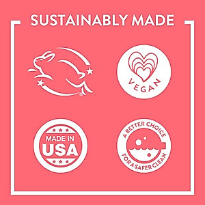 Molly's Suds Baby Laundry Detergent Powder | Removes Formula, Poop & Spit-Up Stains | Extra Gentle on Newborn Skin (Sweet Baby Shea)