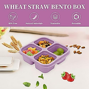 Luriseminger 4 Pack Bento Lunch Box，4 Compartment Snack Containers，Divided Bento Snack Box，Meal Prep Containers Kids/Toddle/Adults,Food Storage Containers for School, Work and Travel
