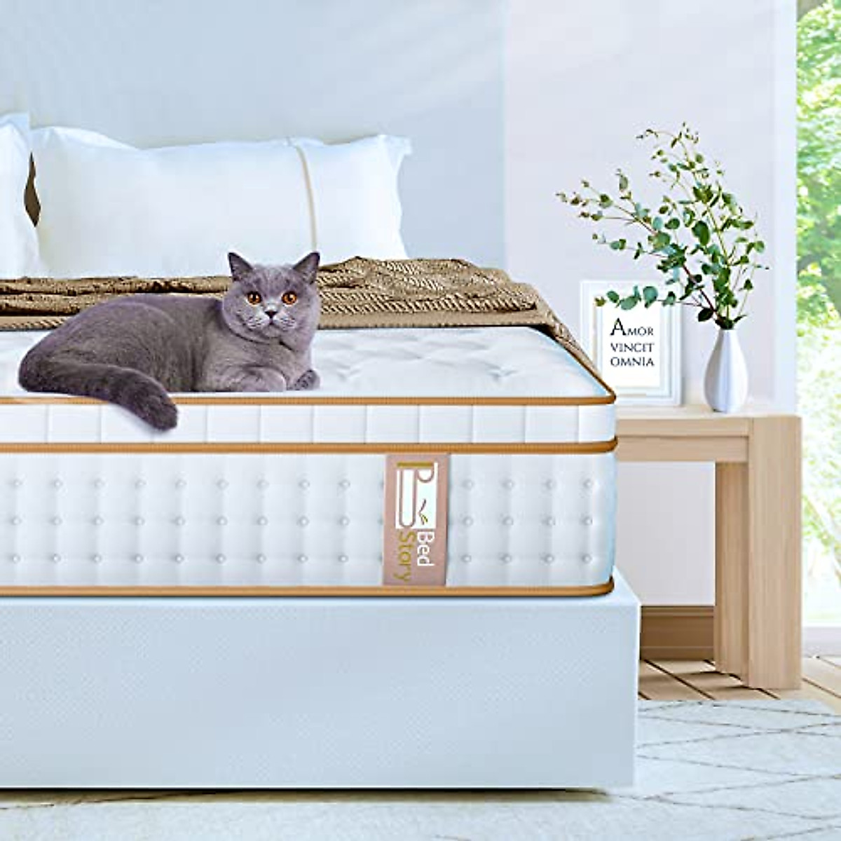 BedStory Queen Mattress, 12 Inch Gel Memory Foam Hybrid Mattress in a Box, Queen Size Mattress with Individually Wrapped Pocket Coils for Supportive and Pressure Relief, Made in USA