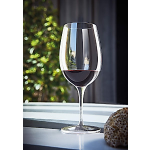 Luigi Bormioli Palace 20 oz Grand Vini Wine Glasses (Set Of 6), Clear