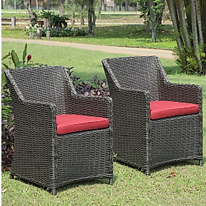 Sea Island Wicker CT-M-1-SP (CT-M-1) Patio Lounge Chair Set with Red Cushion