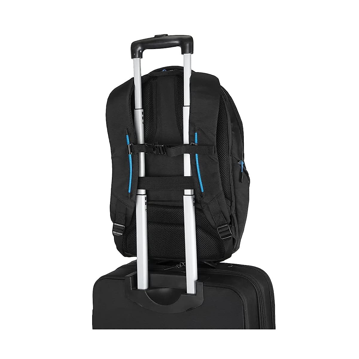 Targus Group International Targus 15.6 Commuter Backpack BLK BL