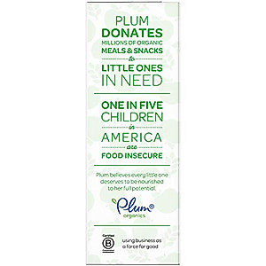 Plum Organics Kids Jammy Sammy Apple Cinnamon & Oatmeal, 1.02 Oz, 5 Pack